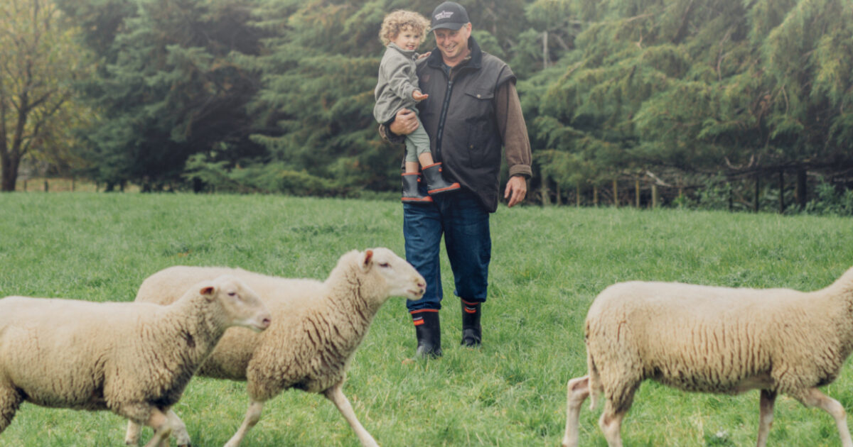 Spring Sheep Milk Co. | Become a Supplier