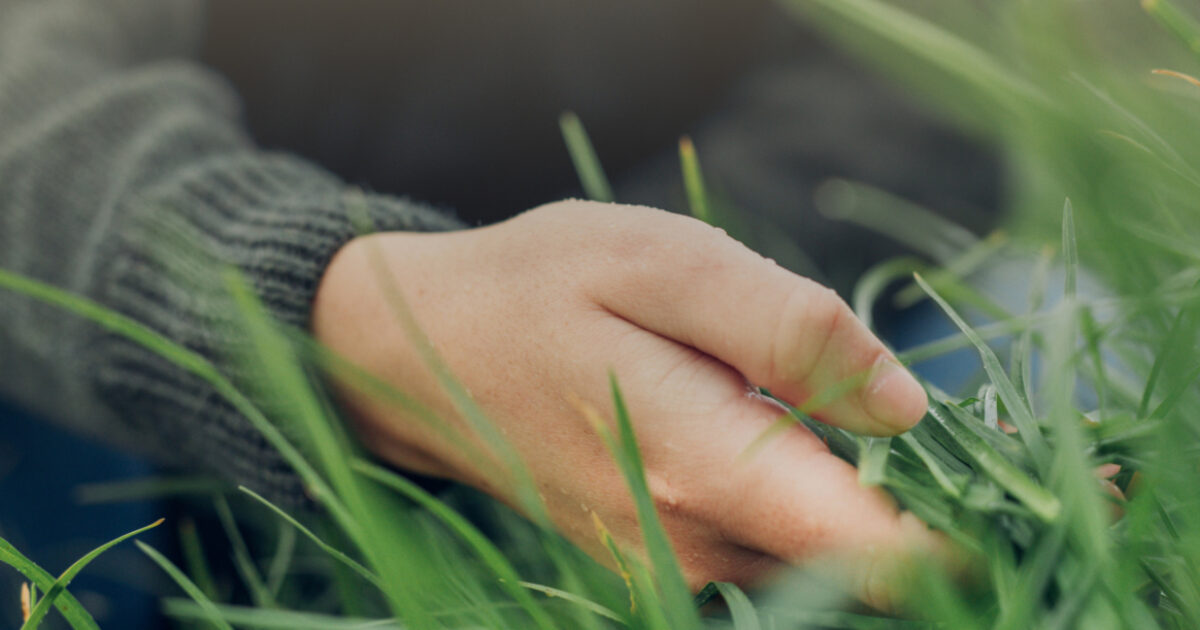 Spring Sheep Milk Co. | Governance